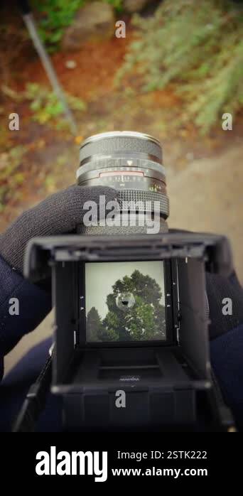 Captured from a first-person view, a photographer embarks on a nature photography walk with a ...