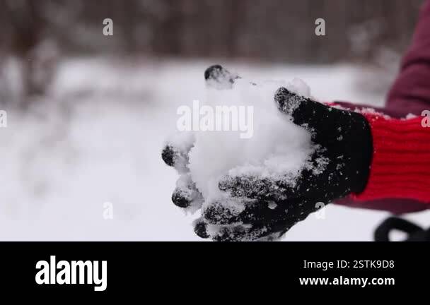 Woman's hands holding snow. Winter. Close-up of woman's hands holding ...