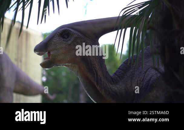 A giant parasaurolophus shakes its head, displayed in a park on a sunny ...