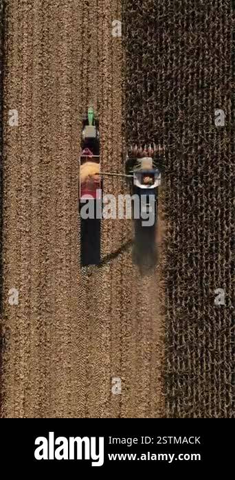 Vertical video of Electric Combine harvester agricultural machine ...