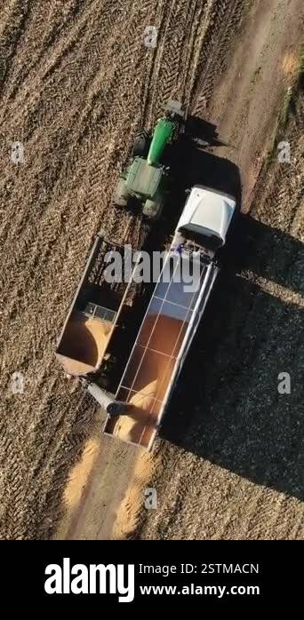 Combine Harvester Auger Unloading Harvested Corn into Trailer. Corn ...