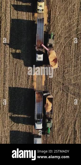 Vertical Video of Industrial Farmland Finish the Seasonal Work. Golden ...