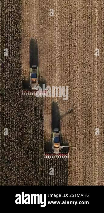 Vertical Screen Orientation of Two Electric Combine, Harvester Removes ...