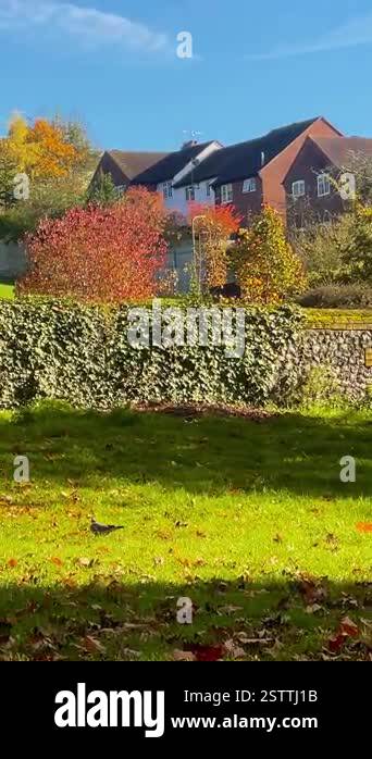 English countryside garden with vibrant autumn foliage, a neatly ...