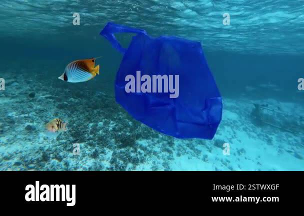 A blue plastic bag floats in the ocean, polluting the environment while ...