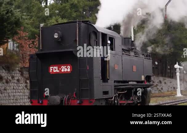 Steam locomotive - steam train Sila. Camigliatello Silano Italy 02.02. ...