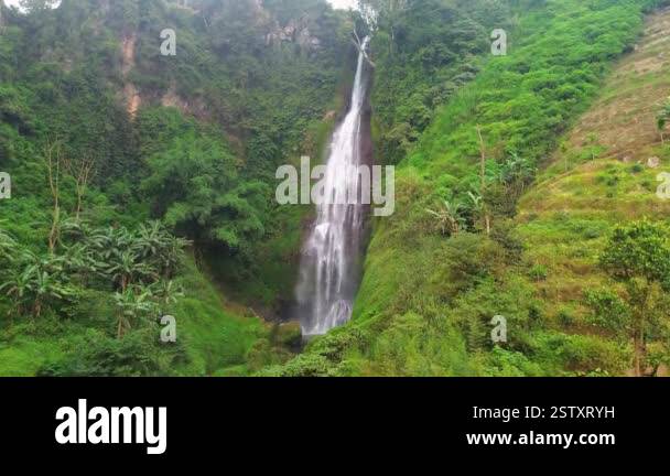 Aerial panoramic portrait of a beautiful waterfall nestled among lush ...