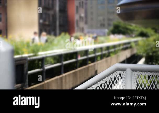 New York City High Line elevated greenway, Manhattan Midtown, USA ...