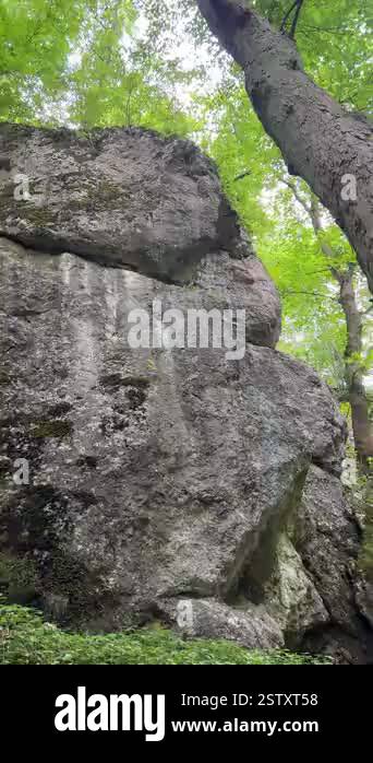 Vertical video of cliffs and trees at Panienskie Skaly in Wolski Forest ...