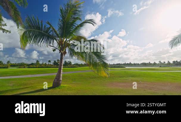 Golf course field with flagstick, lake and exotic palm trees on ...