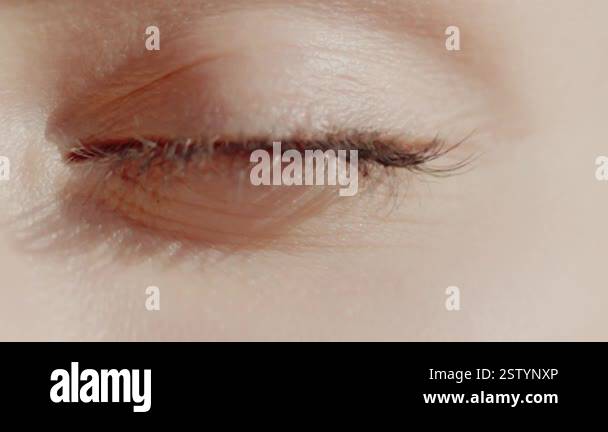 Close-Up of a Human Eye with Visible Eyelashes and Eyebrow. High ...
