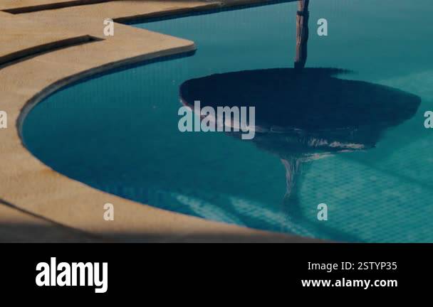 Tranquil reflection of a thatch umbrella in a Moroccan pool. The ...