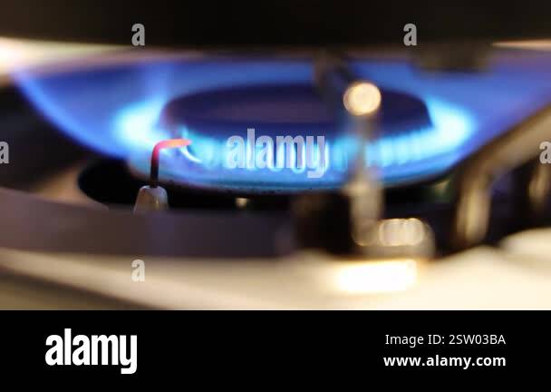 Gas stove flame. Close up of a gas stove burner igniting with a blue ...