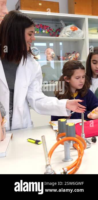 Curious students learning human anatomy with teacher in science class ...