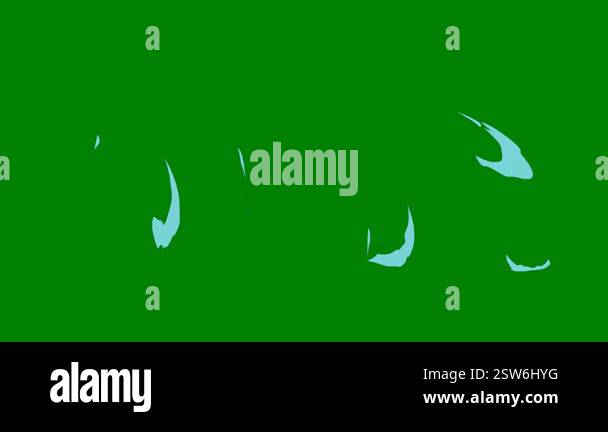 Adding dynamic flair Stock Videos & Footage - HD and 4K Video Clips - Alamy