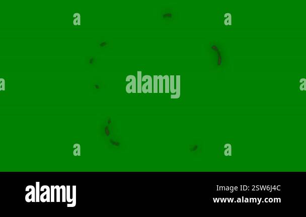 A swirling, glowing light effect transitioning across green screen ...