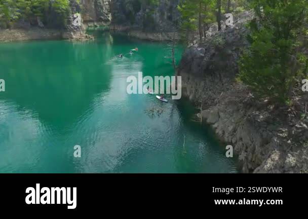 A vibrant adventure in the wild Stock Video Footage - Alamy