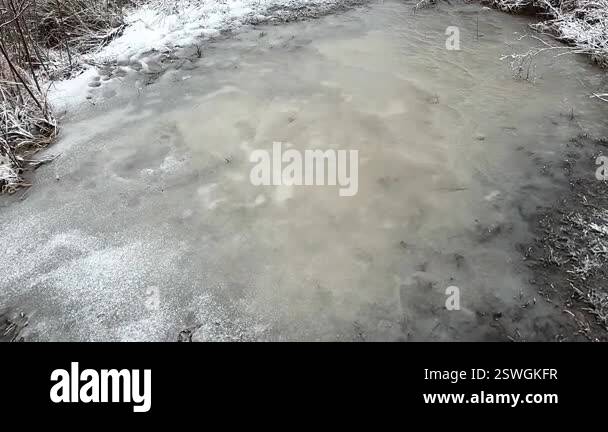 hiking on icy trail in the swamp with dusting of snow in January Stock ...