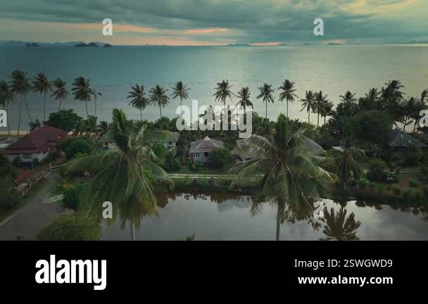 Coastline with palm trees on the beach. Cinematic shot of paradise ...