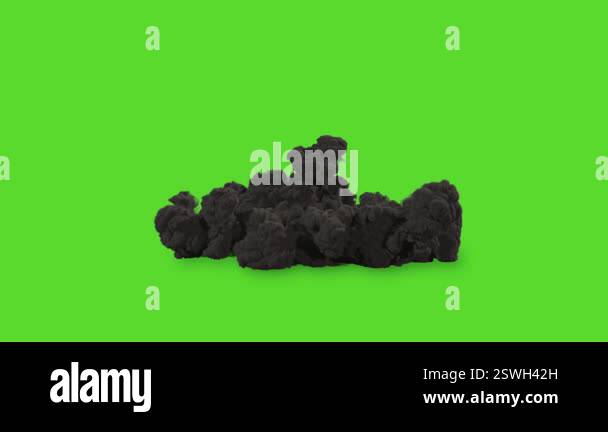 Dramatic black smoke spreading on green screen, great for destruction ...