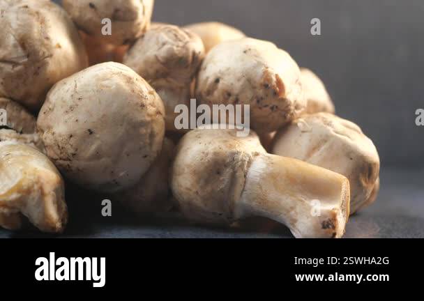 Whole mushrooms highlight their smooth surfaces and earthy charm Stock ...