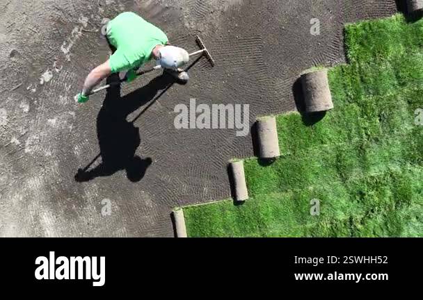 A landscaping team works diligently to lay down fresh sod in a ...