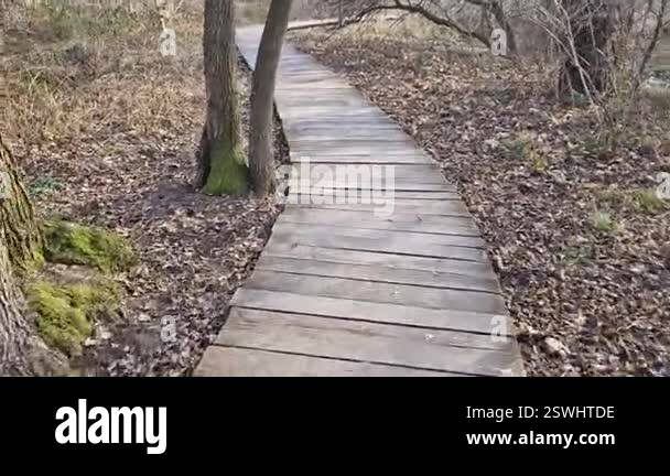 floating walkway made of wooden planks, pier, narrow curved paths on ...