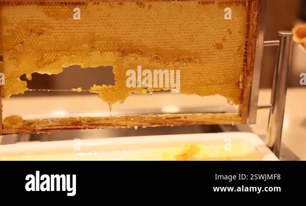 Golden honey dripping slowly from honeycomb frame. Rich amber flow and ...