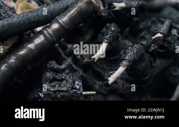 An extreme close-up of the charred, melted, and twisted remains of a ...