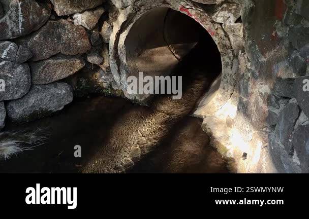 Old underground drainage collector pipe comes to the surface with ...