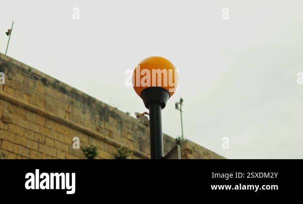 Pedestrian crossing yellow blink danger warning street lamp in slightly ...