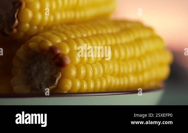 Corn cobs in a bowl with vibrant yellow kernels, close-up focus, fresh ...