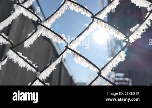 vertical video snow lies on the fence. vertical video snow on the mesh ...