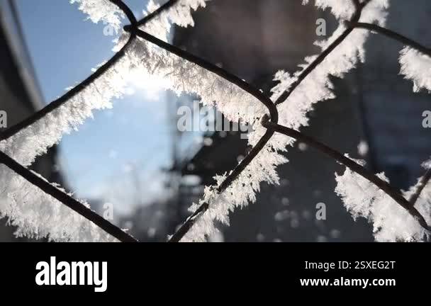 vertical video snow lies on the fence. vertical video snow on the mesh ...