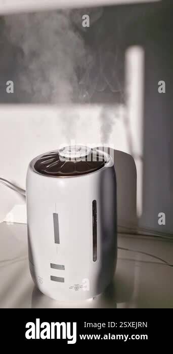 Humidifier provides healthy humidity levels in living room. Steam of ...