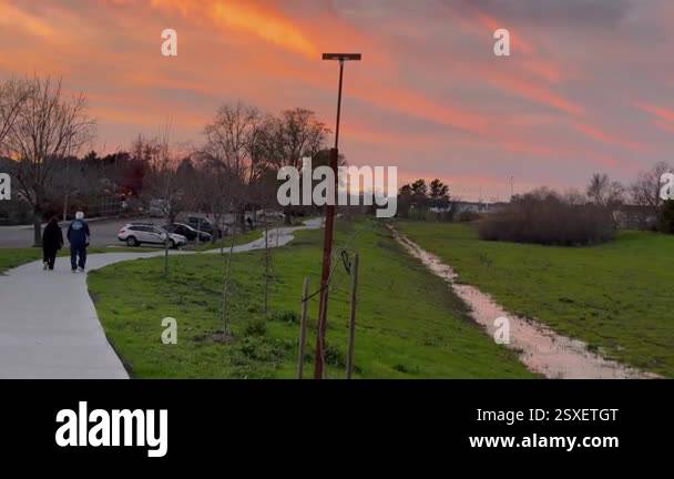 A paved pathway lined with young trees stretches into the distance, as ...