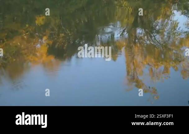 Inverted reflection in water Stock Videos & Footage - HD and 4K Video ...