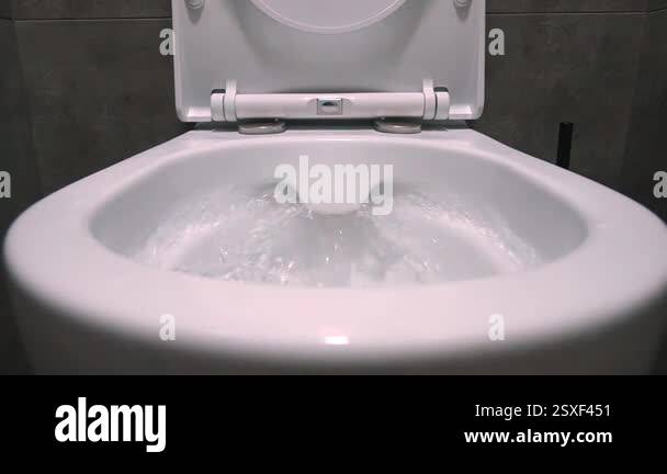 Clean water flowing and filling white ceramic toilet flushing in modern ...