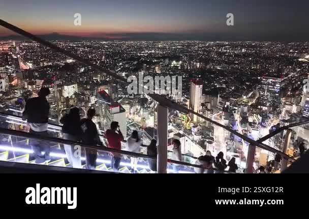 Shibuya Sky Tokyo Japan Panoramic City Skyline View, Dec 4, 2024 Stock ...