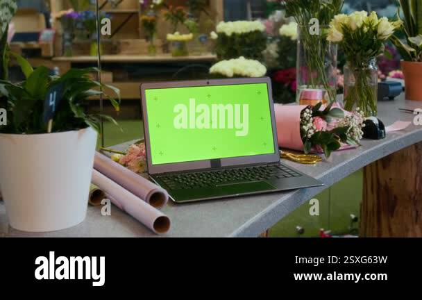 Close-up no people view of laptop with chroma key green screen, potted ...