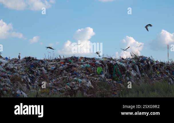 This clip highlights the overwhelming quantity of waste in a landfill ...