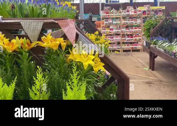 Garden centre shop display of potted green plants and shrubs under a ...