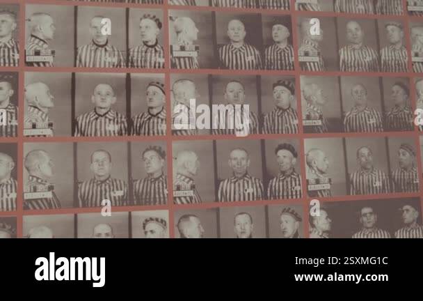 Rows of prisoner portraits at Auschwitz, showing faces of those who ...