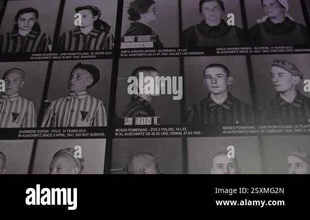 Prisoner Portraits at Auschwitz Museum Memorial, a solemn tribute to ...