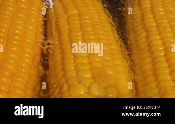 Close-up of sweet corn boiling in hot water with bubbles forming ...