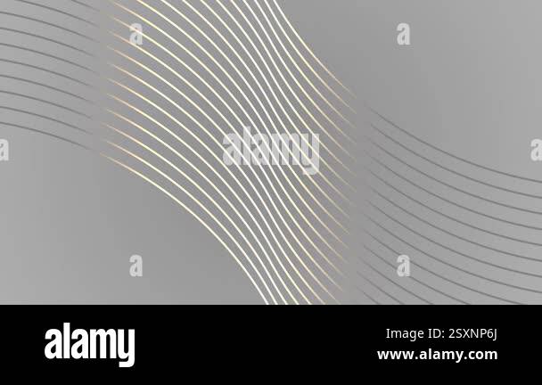Animated Premium background design with white line pattern in luxury ...