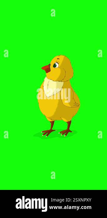 Yellow chicken. Handmade 2D animated HD footage isolated on green ...