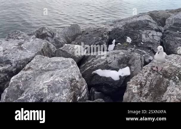Moda,Istanbul,Turkey.February 23,2025. Long distance view of Moda beach ...
