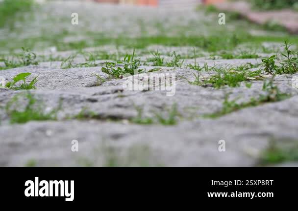 Worn stone pathway Stock Videos & Footage - HD and 4K Video Clips - Alamy