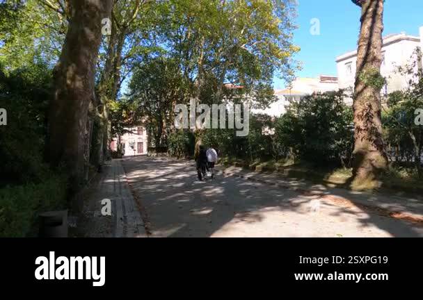 A couple takes a relaxing walk under the shade of tall trees, embracing ...